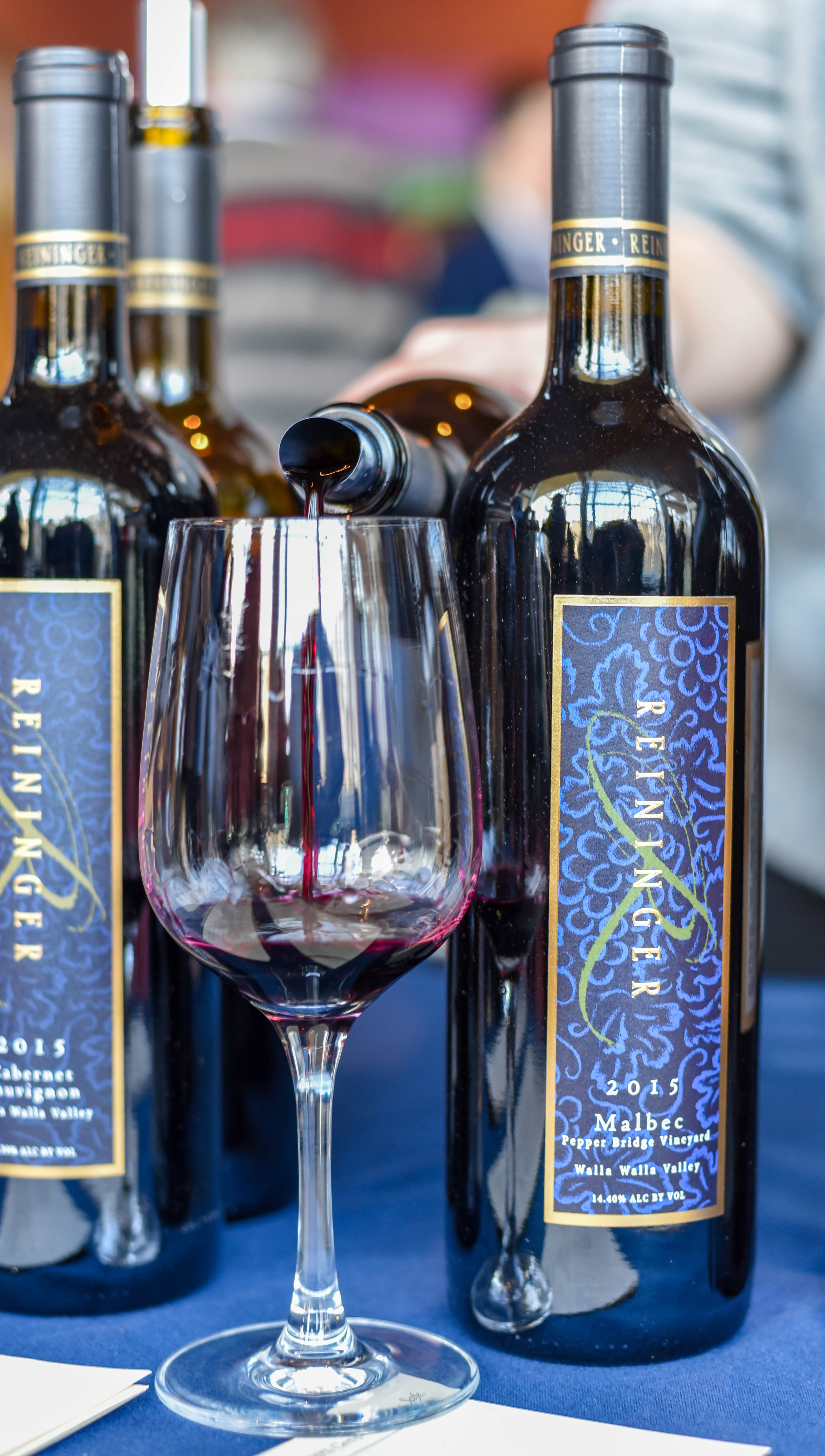 Celebrating World Malbec Day - Drink In Life