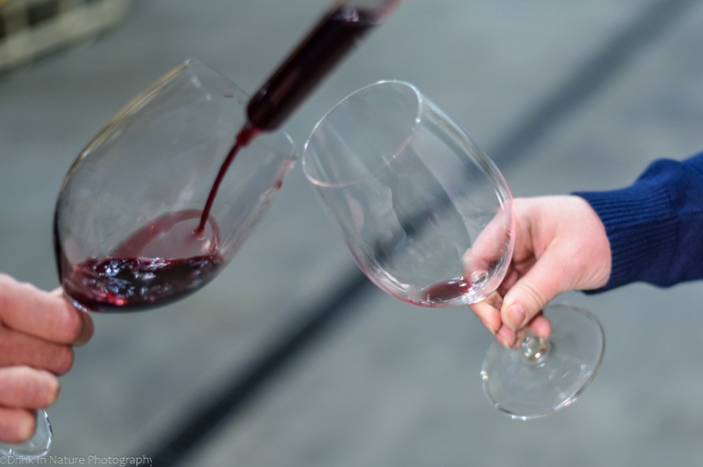 Rising Costs and Changing Dynamics in the Wine Industry – Drink In Life