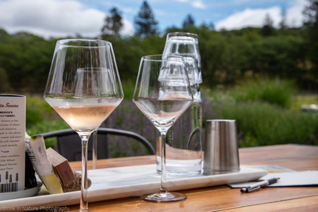 Rising Costs and Changing Dynamics in the Wine Industry – Drink In Life